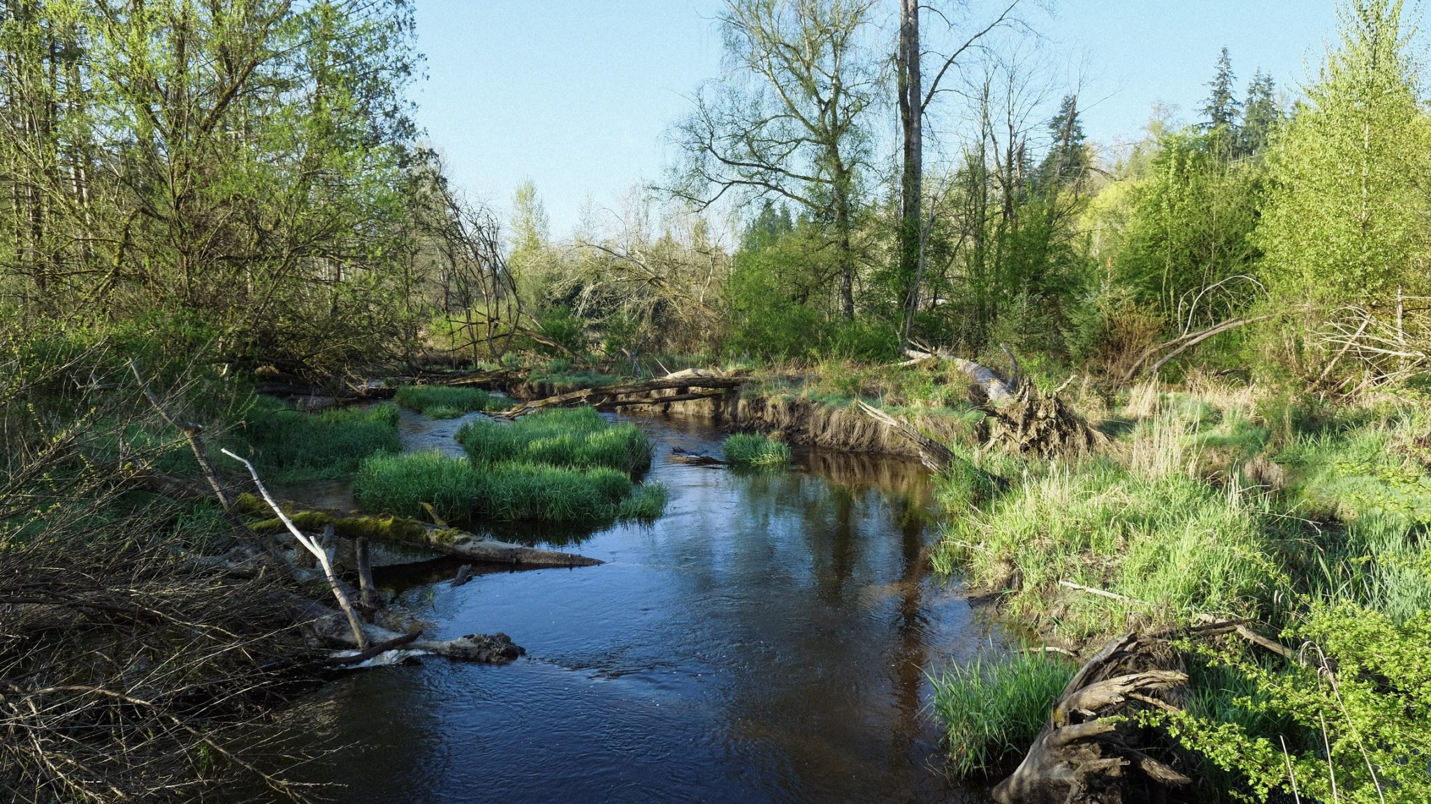 Visit - Experience Redmond