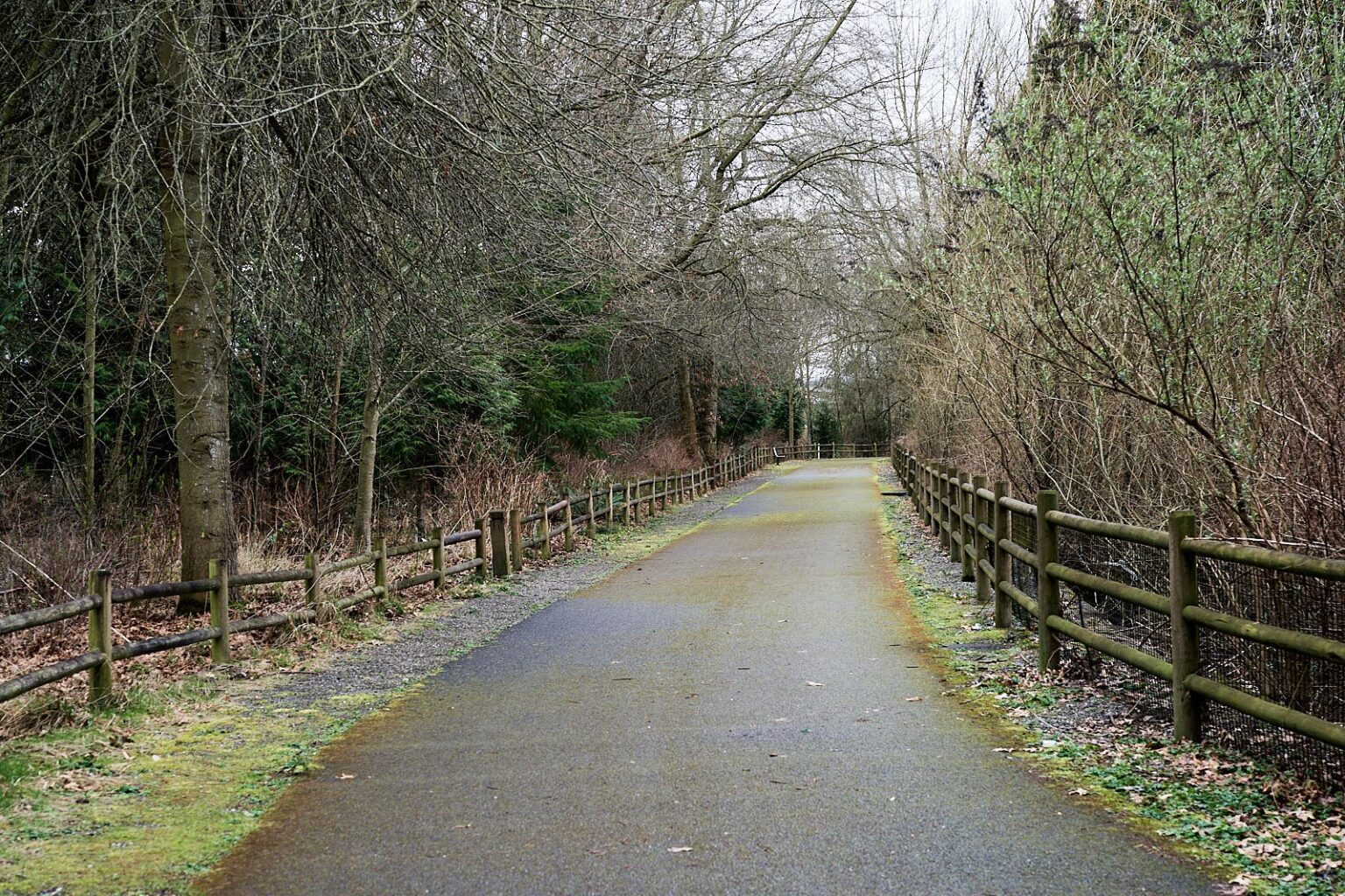 Trails - Experience Redmond