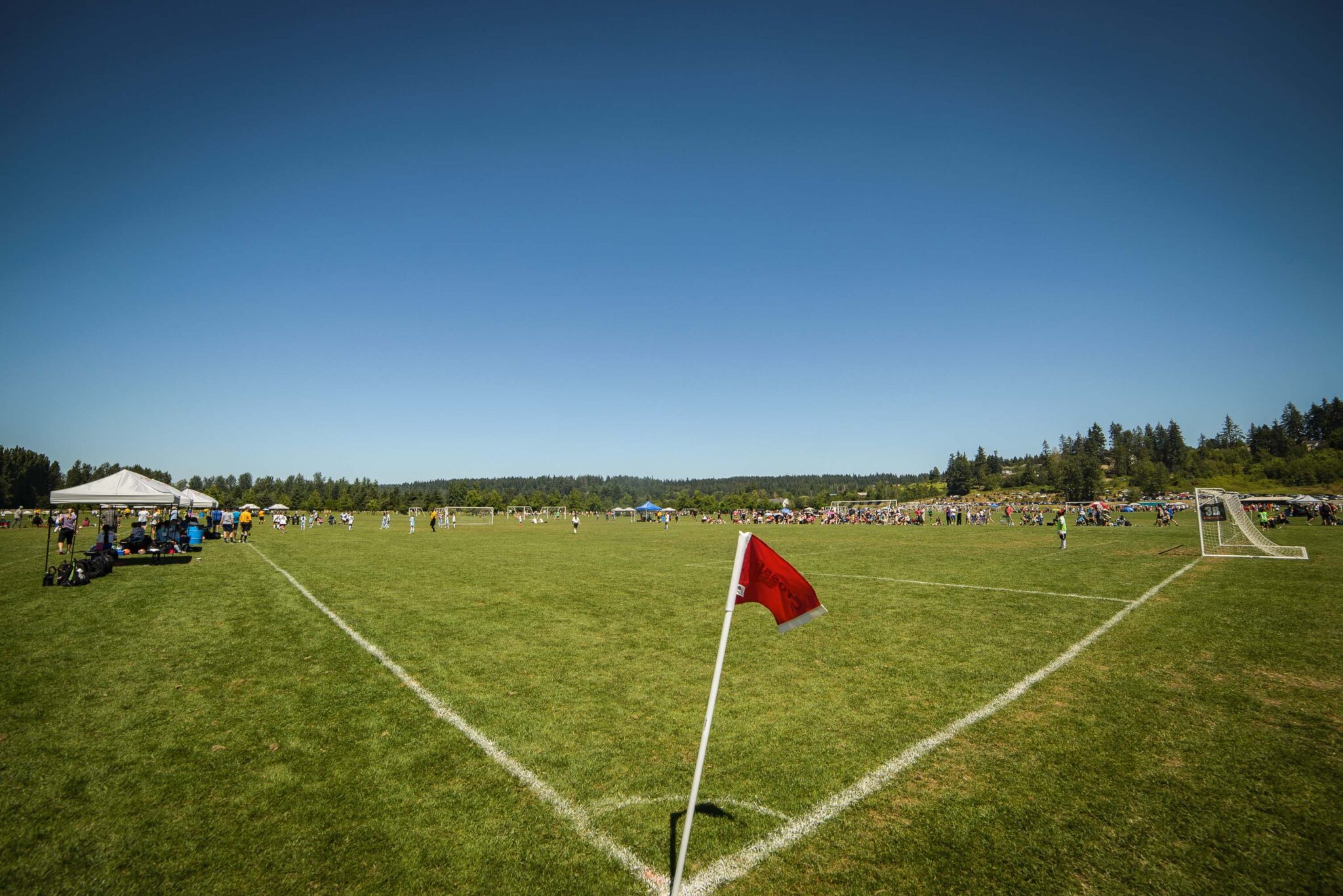 60 Acres Park - Experience Redmond