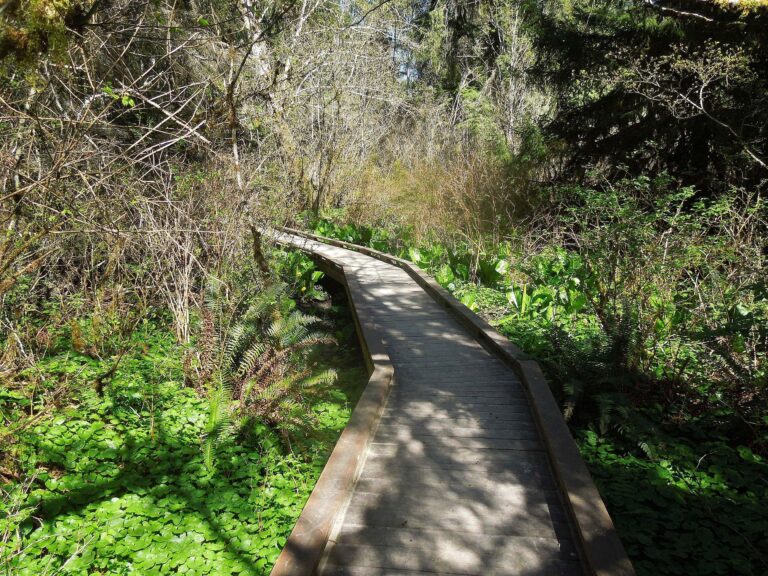 Trails - Experience Redmond