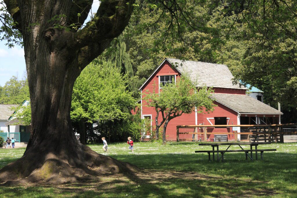 Parks - Experience Redmond