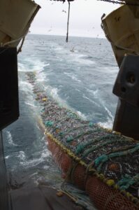 UniSea - Experience Redmond